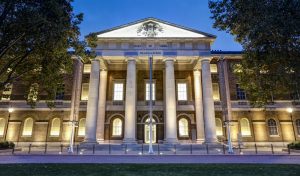 Home - Thea Carroll Property Consultancy